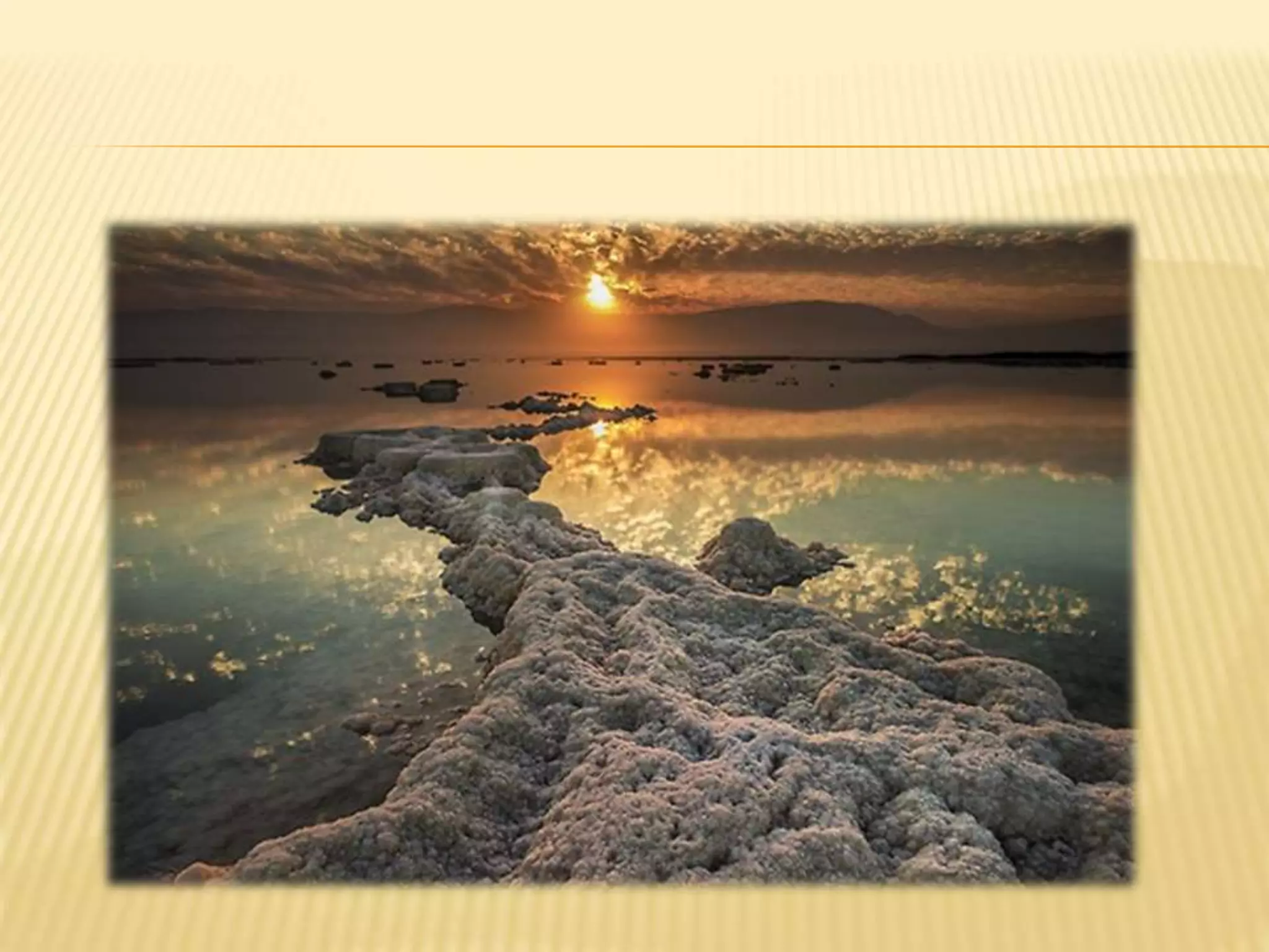 Marea moarta angelescu_ines | PPTX