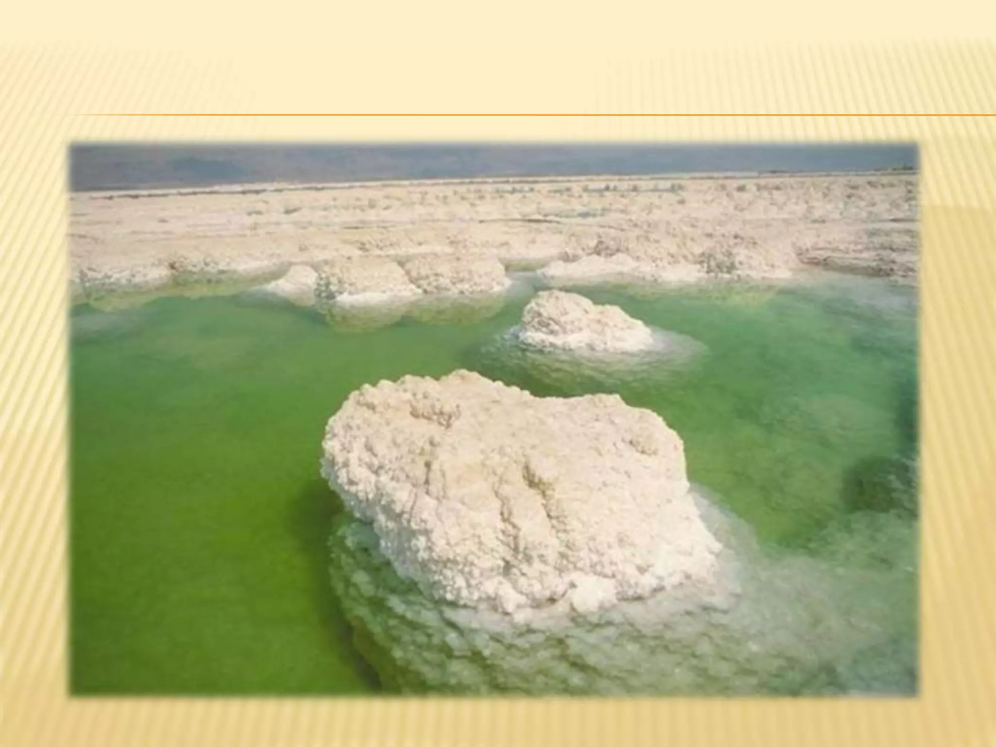 Marea moarta angelescu_ines | PPT