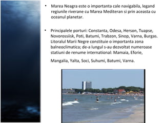 Marea Neagra | PPT