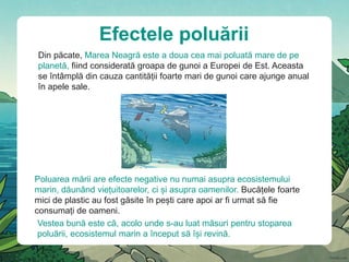 Marea Neagra.pptx