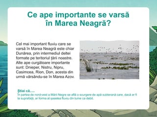 Marea Neagra.pptx