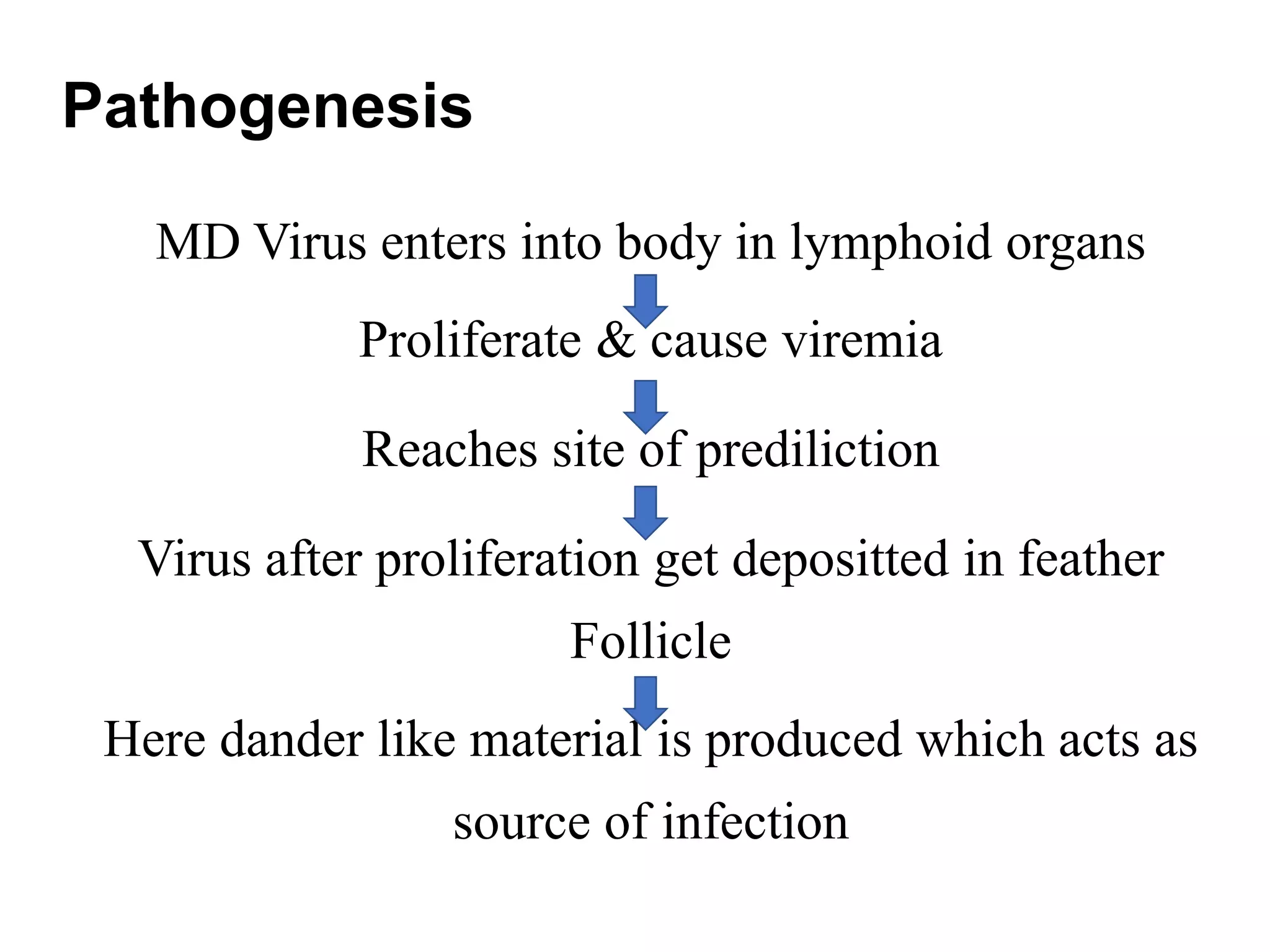 Mareks Disease of Poultry | PPTX