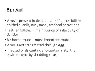 Mareks Disease of Poultry | PPTX