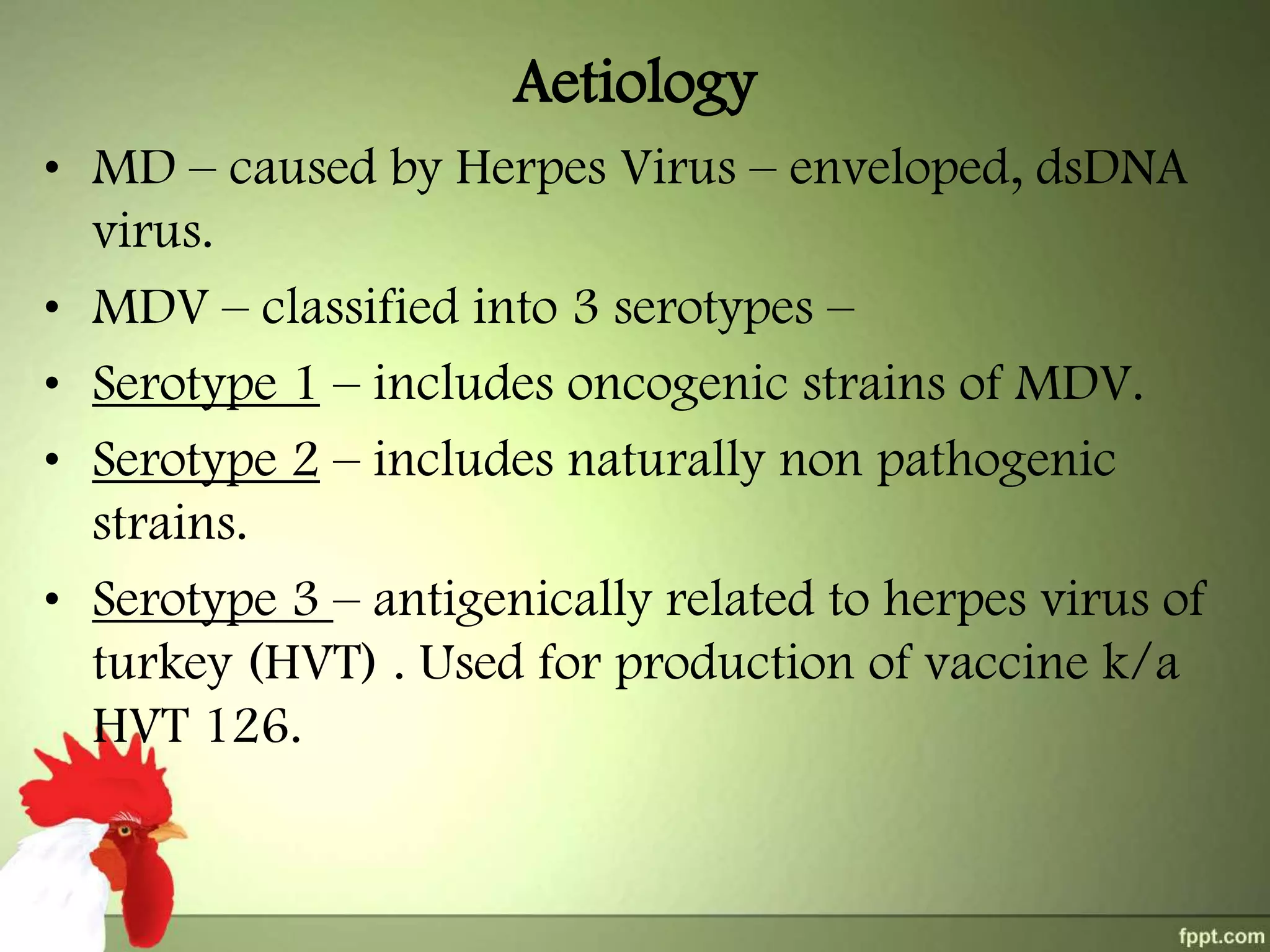 Marek’s disease | PPTX