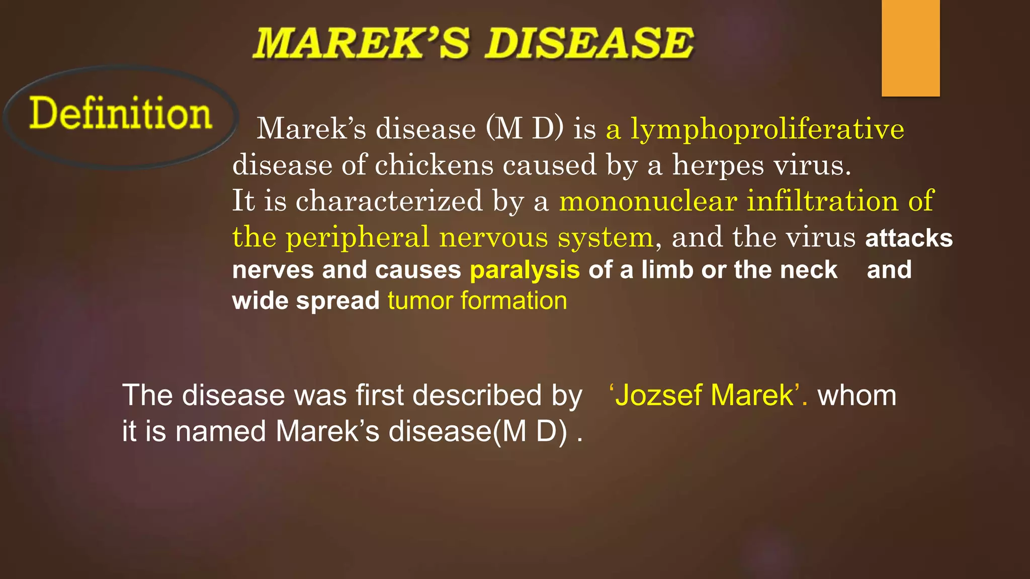 Marek's disease in poultry ... | PPTX