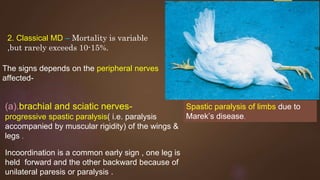 Marek's disease in poultry ... | PPTX