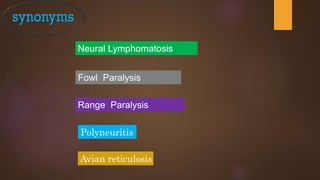 Marek's disease in poultry ... | PPTX