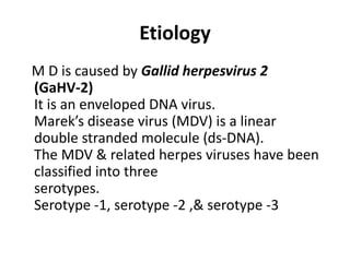 Marek's disease | PPT