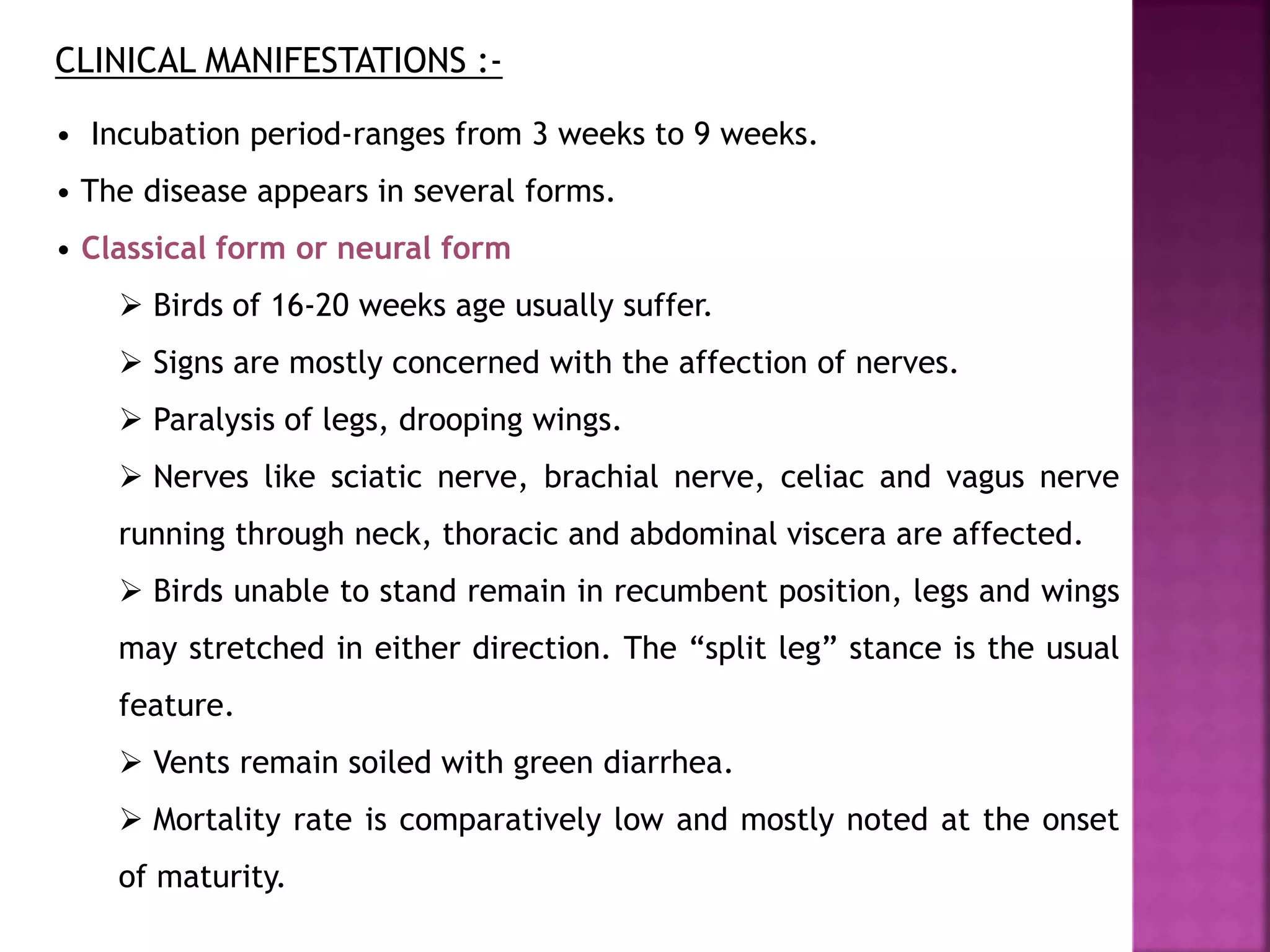 Marek's disease | PPTX