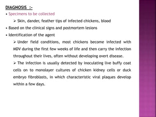 Marek's disease | PPTX