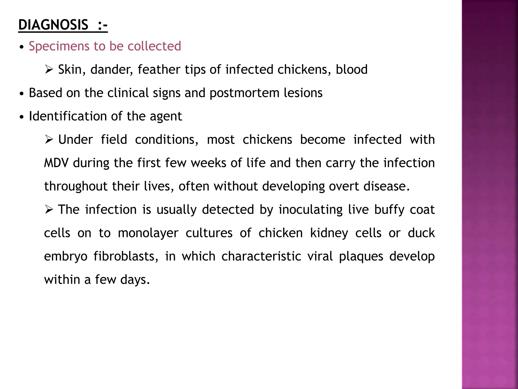 MAREKS DISEASE IN POULTRY AN ECONOMICALLY IMPORTANT DISEASE | PDF