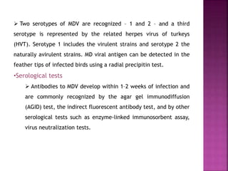 MAREKS DISEASE IN POULTRY AN ECONOMICALLY IMPORTANT DISEASE | PDF