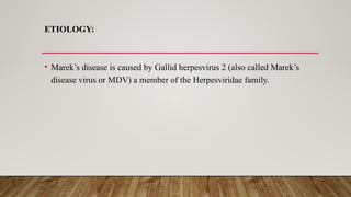 Marek's disease of poultry and it's management | PPT