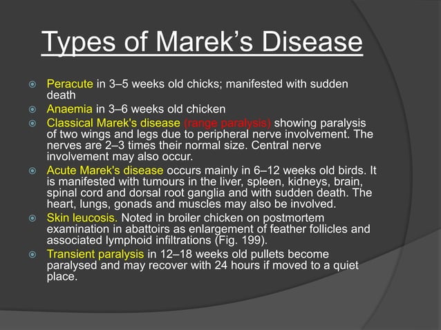 Marek's disease in poultry | PPTX | Infectious Diseases | Diseases and ...