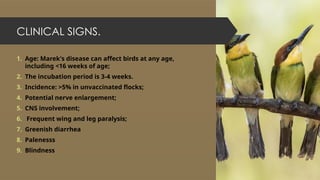 Marek's disease, Transmission and Pathogenesis. | PPTX