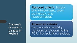 Marek's disease, Transmission and Pathogenesis. | PPTX