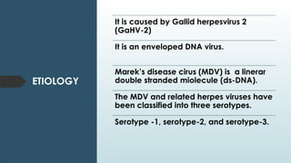 Marek's disease, Transmission and Pathogenesis. | PPTX