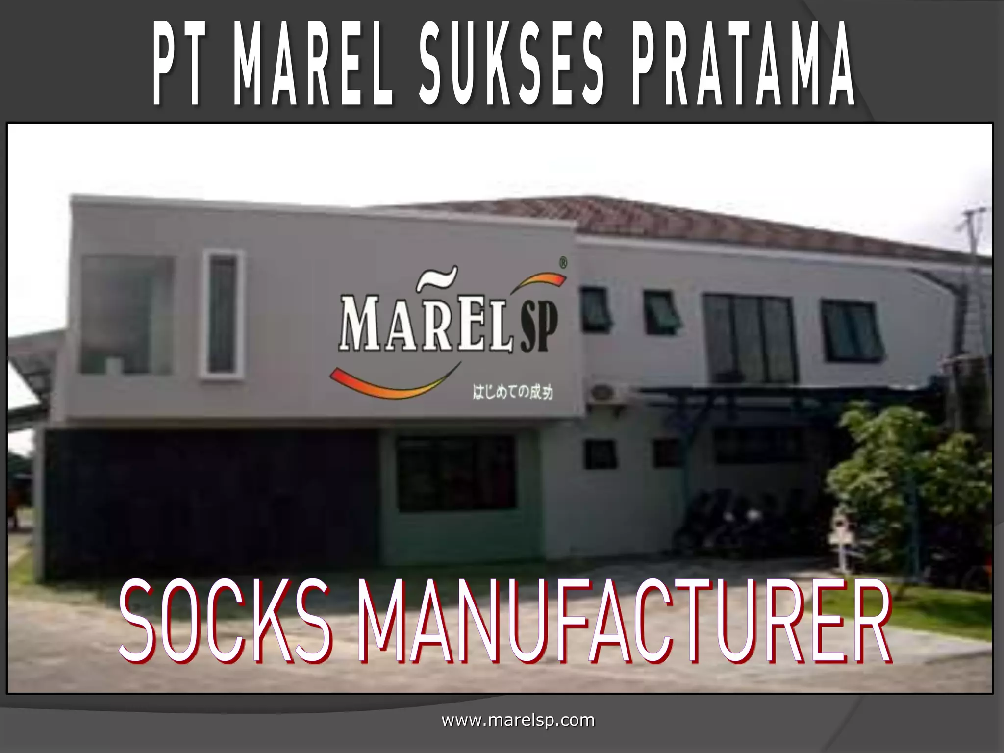 Marel company profile - Hosiery / Socks Manufacturer (Pabrik Kaos Kaki ...