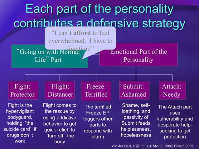 MAREN A. MASINO - SENSORIMOTOR PSYCHOTHERAPY AND DR JANINA FISHER’S ...