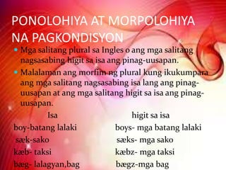 MORPOLOHIYA | PPTX