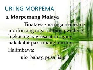 MORPOLOHIYA | PPTX