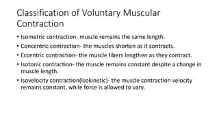 MA Report Ergometry.pptx