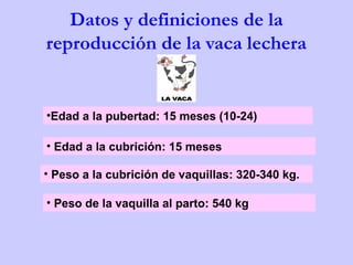 manejo reproductivo en vacunos de leches | PPT