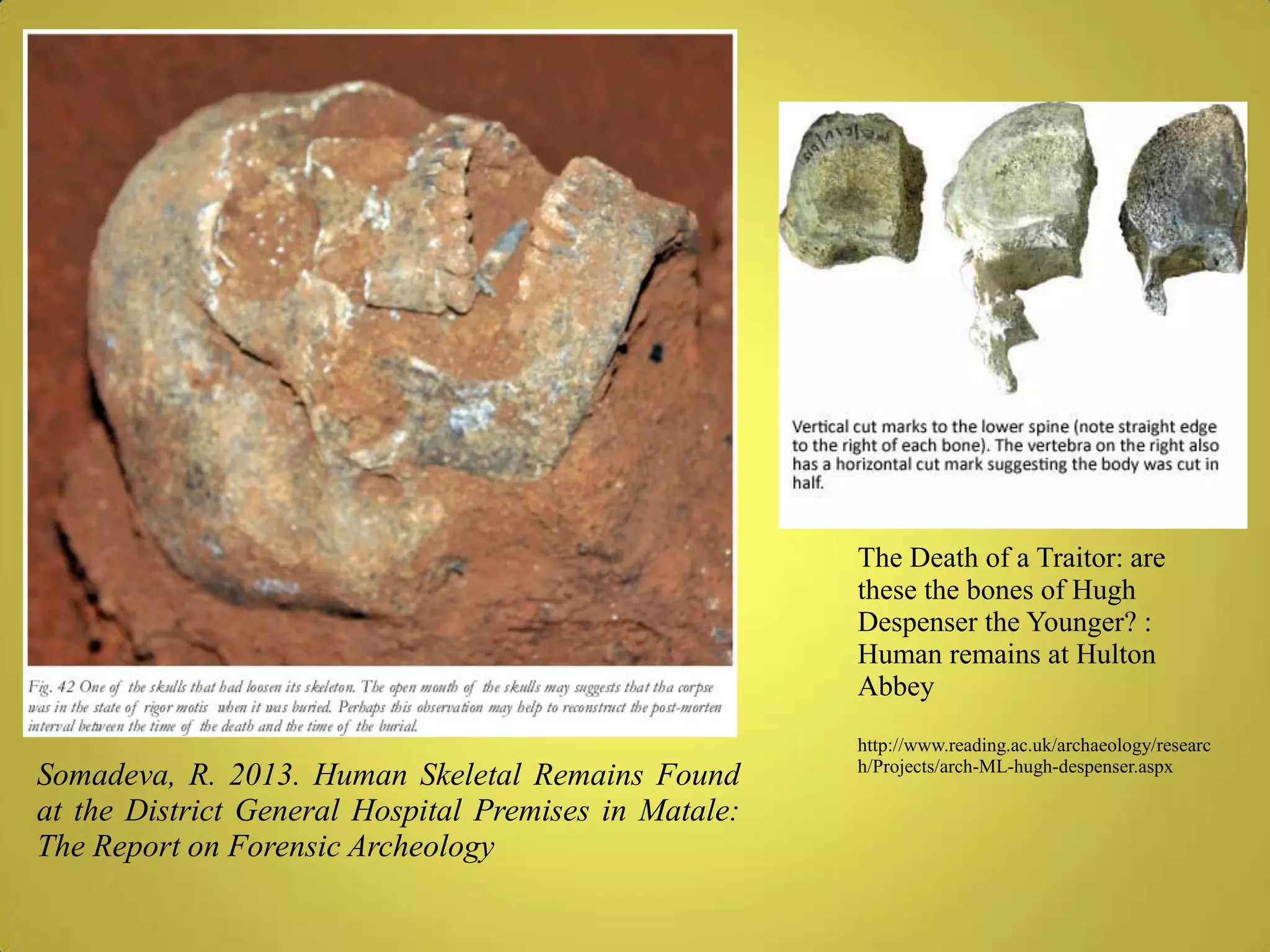 Ma research forensic archaeology research proposal presentation 6 ...