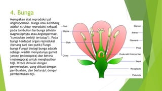 MARFOLOGI DAN ANATOMI TUMBUHAN.pptx