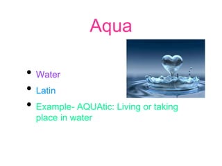 Margaret and sara logan ppt | PPTX