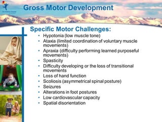 Margaret Spring: Occupational Therapy Goals for Rett Clinic Patients | PDF