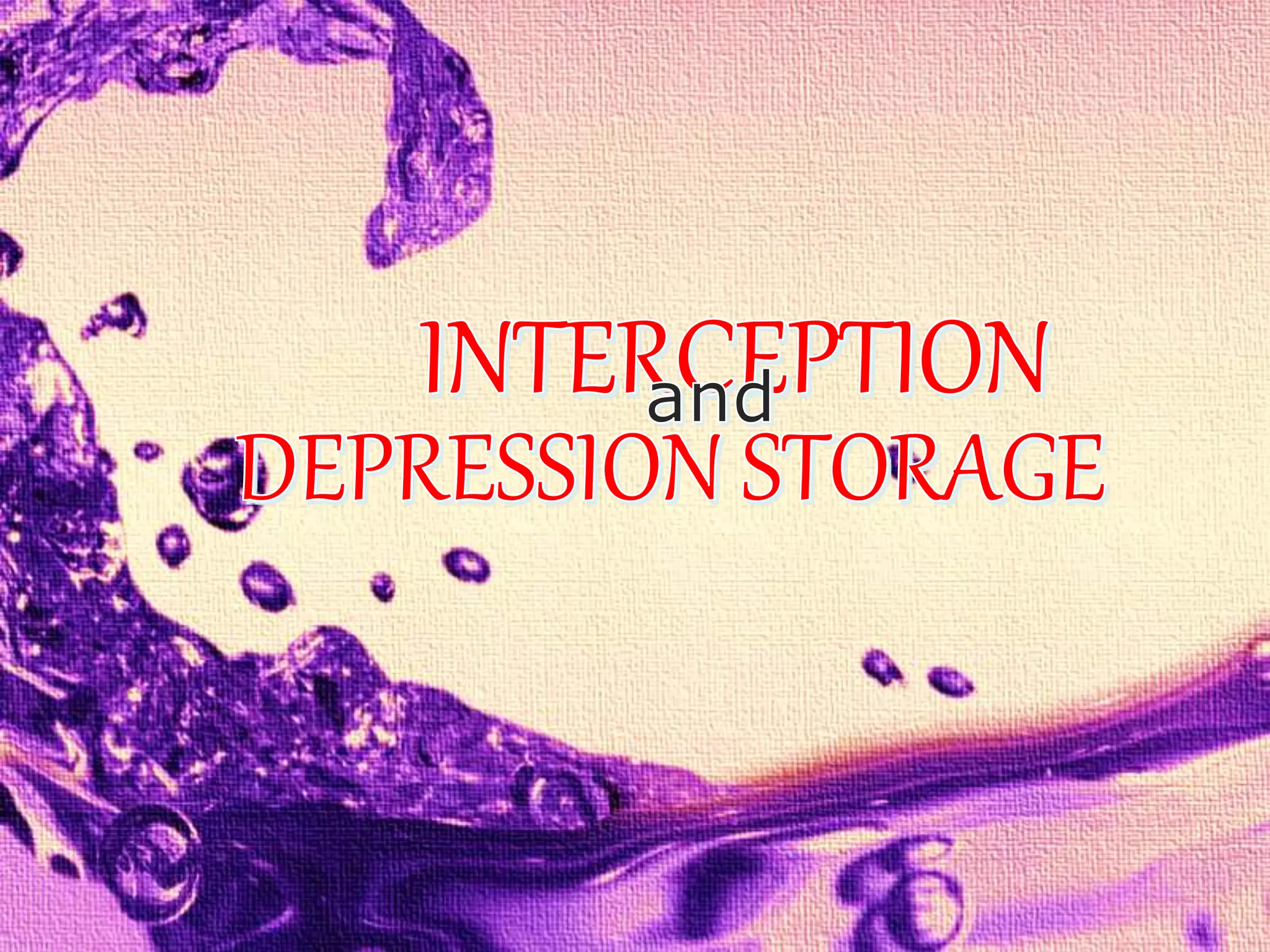Interception and Depression Storage | PPTX