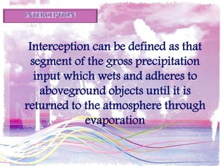 Interception and Depression Storage | PPTX