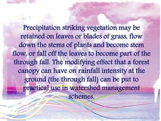 Interception and Depression Storage | PPTX