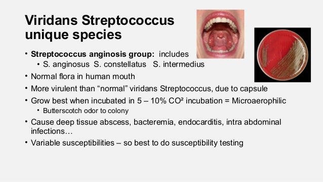 Bacteriology Update 2019