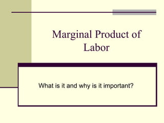 Marginal Product of Labor | PPTX