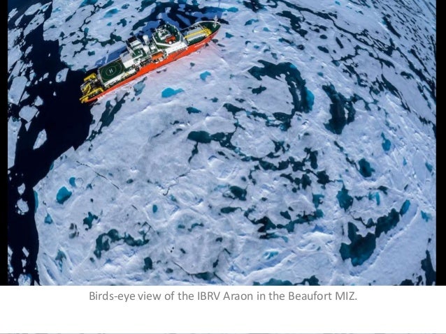 Marginal ice zone processes