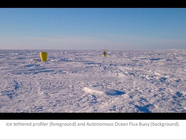 Marginal ice zone processes