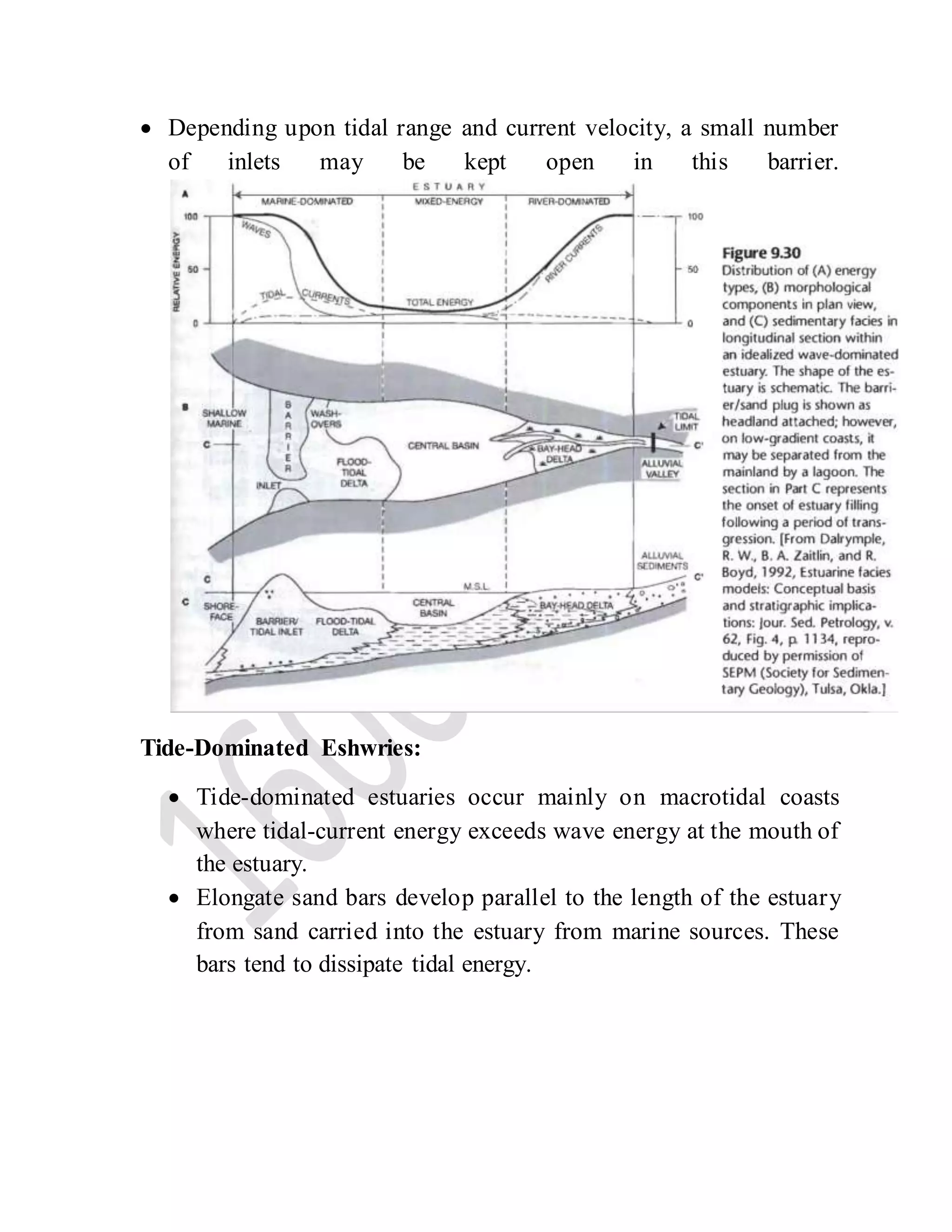 Marginal marine depositional environments | DOCX