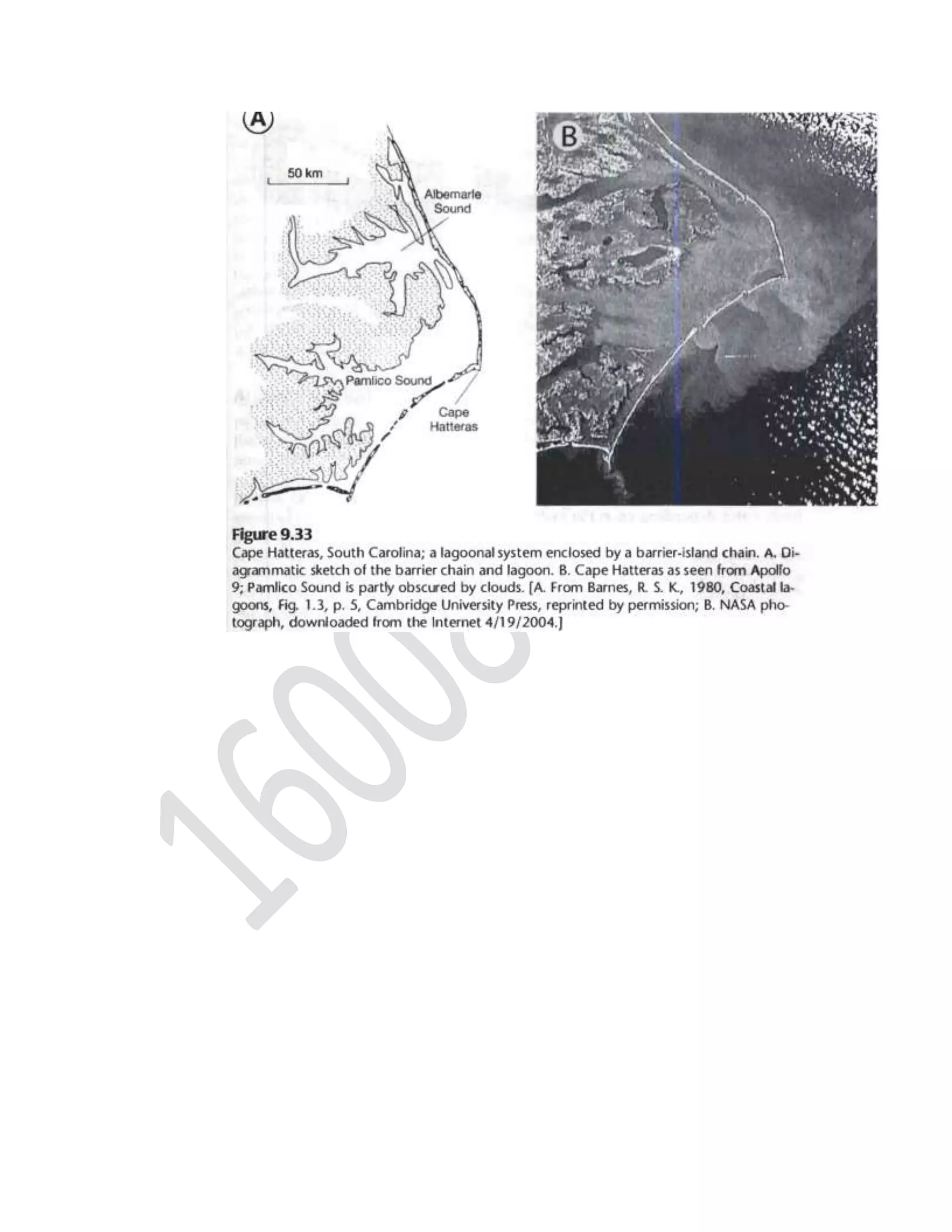 Marginal marine depositional environments | DOCX