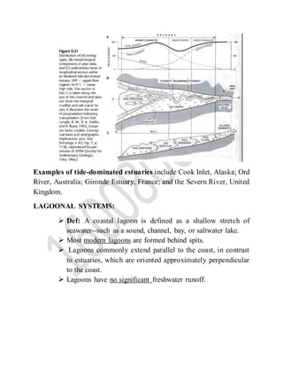 Marginal marine depositional environments | DOCX