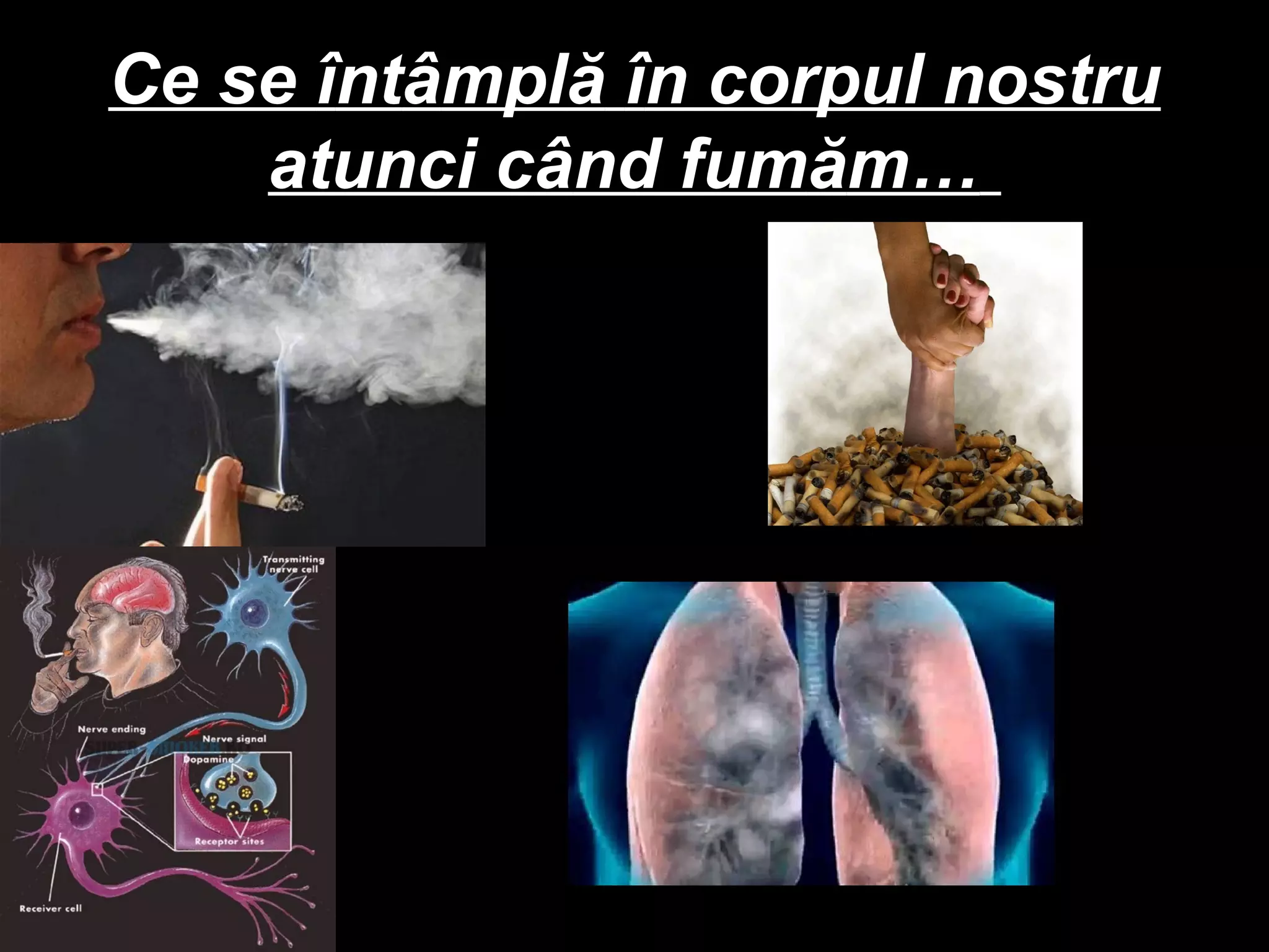 Maria apavaloae tigarile si pericolul fumatului | PPT