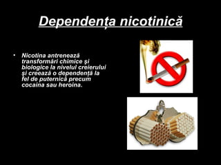 Maria apavaloae tigarile si pericolul fumatului | PPT