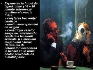 Maria apavaloae tigarile si pericolul fumatului | PPT