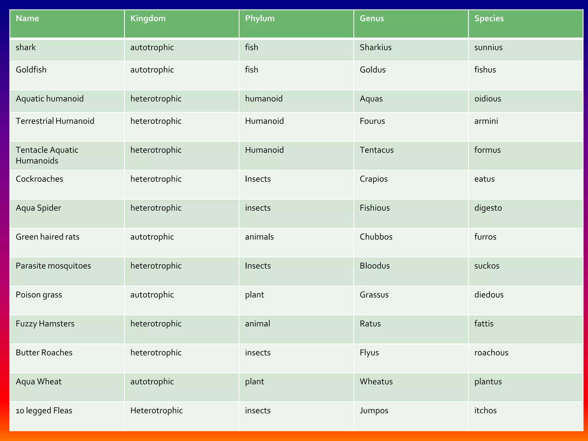 Taxonomy Project | PPTX