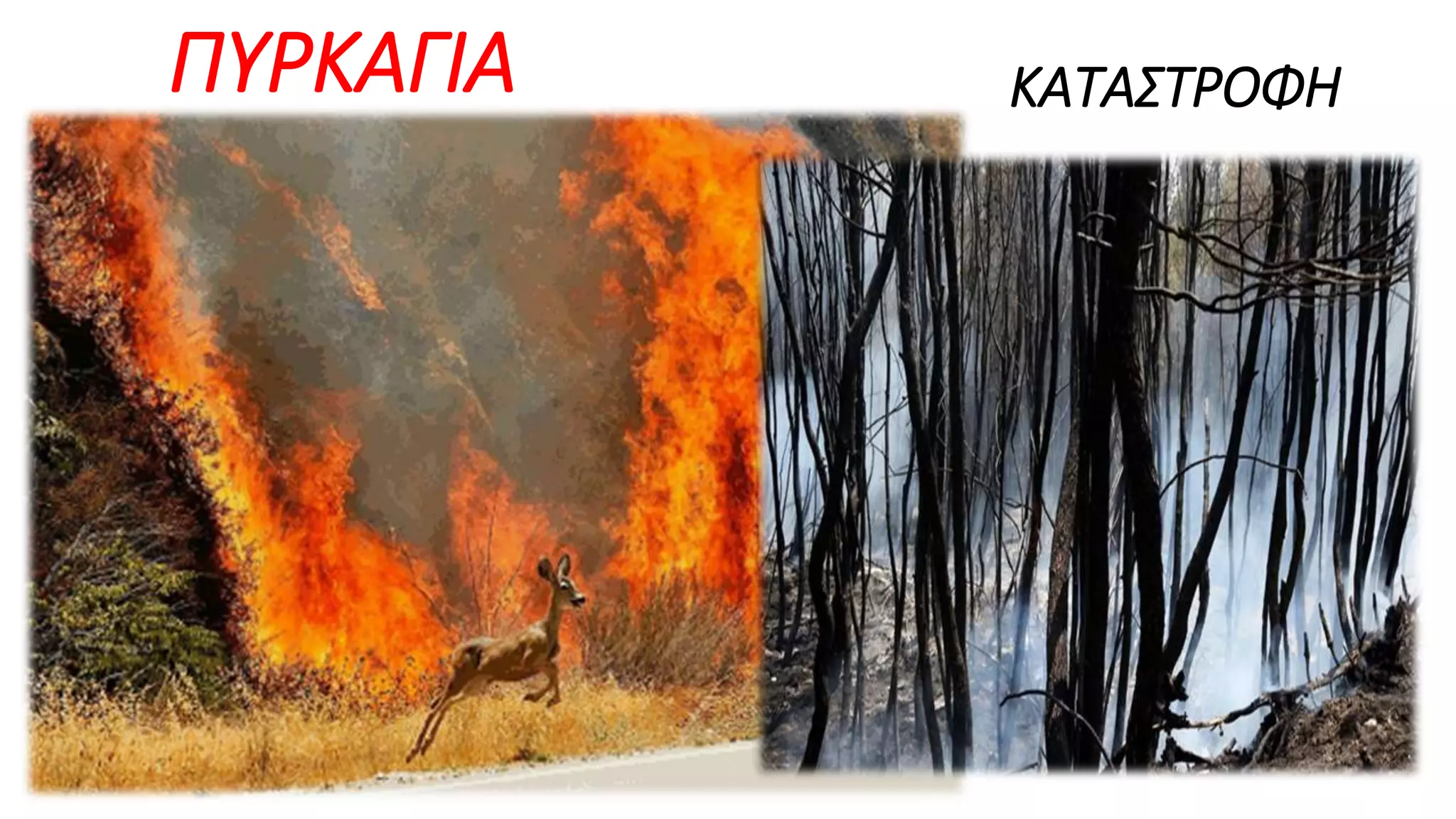 Maria kalantzi 1066267 | PPTX