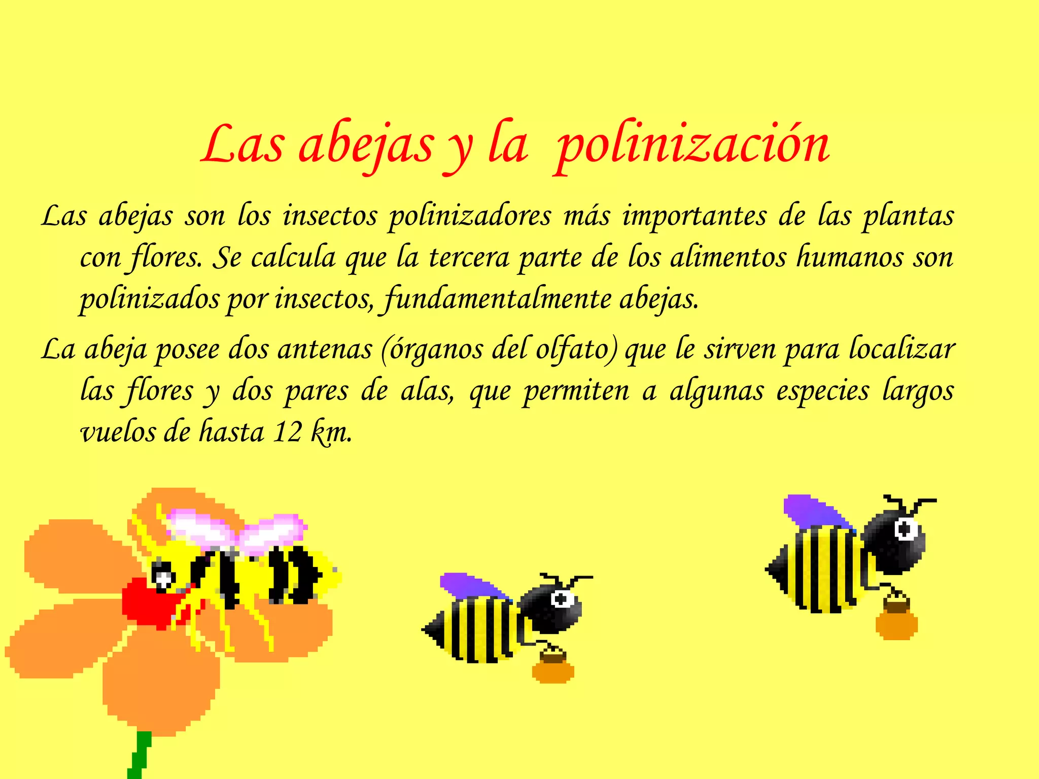 Maria las abejas | PPT