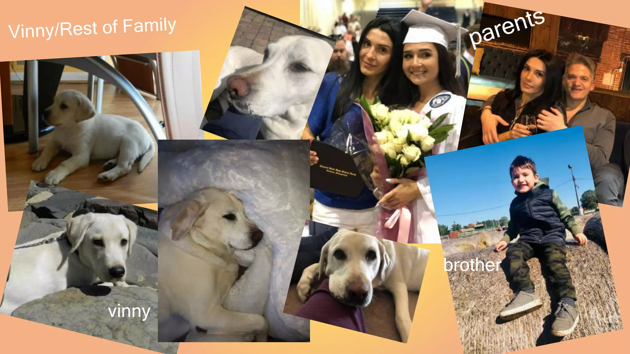 Personal Background | PPTX