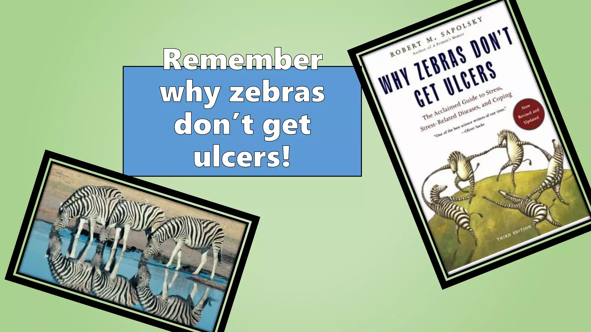 Personal Background | PPTX