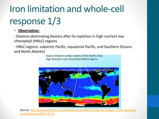 Mariam rizkallah iron_limitation_in_diatoms | PPTX